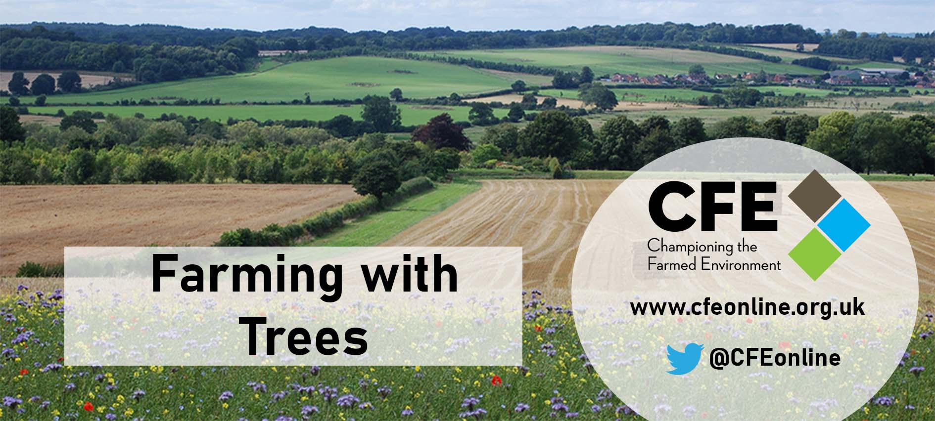 CFE Virtual Workshop - Farming with trees – CFE Online