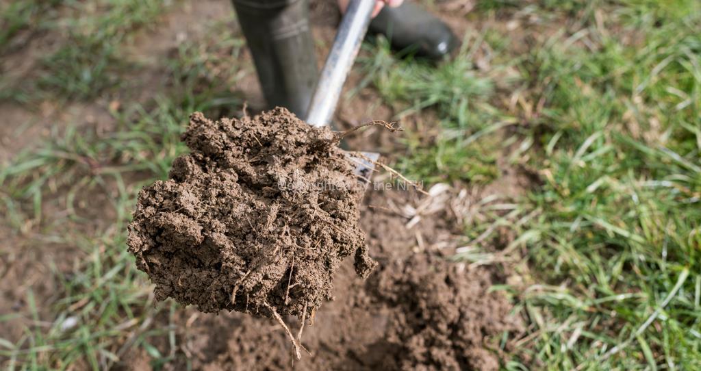Soil management for your farm business – CFE Online